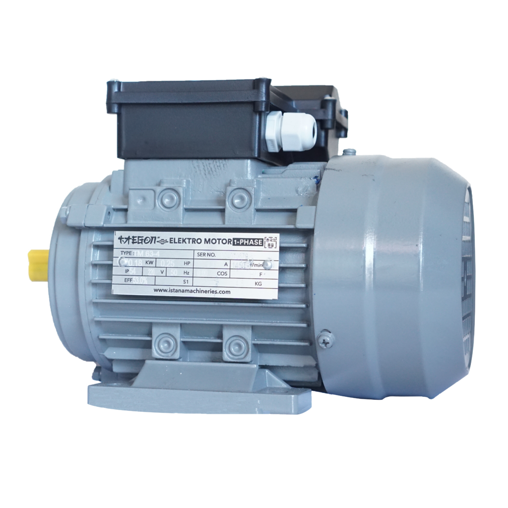 ELECTRO MOTOR TAEGON - TM63-4 - Istana Machineries