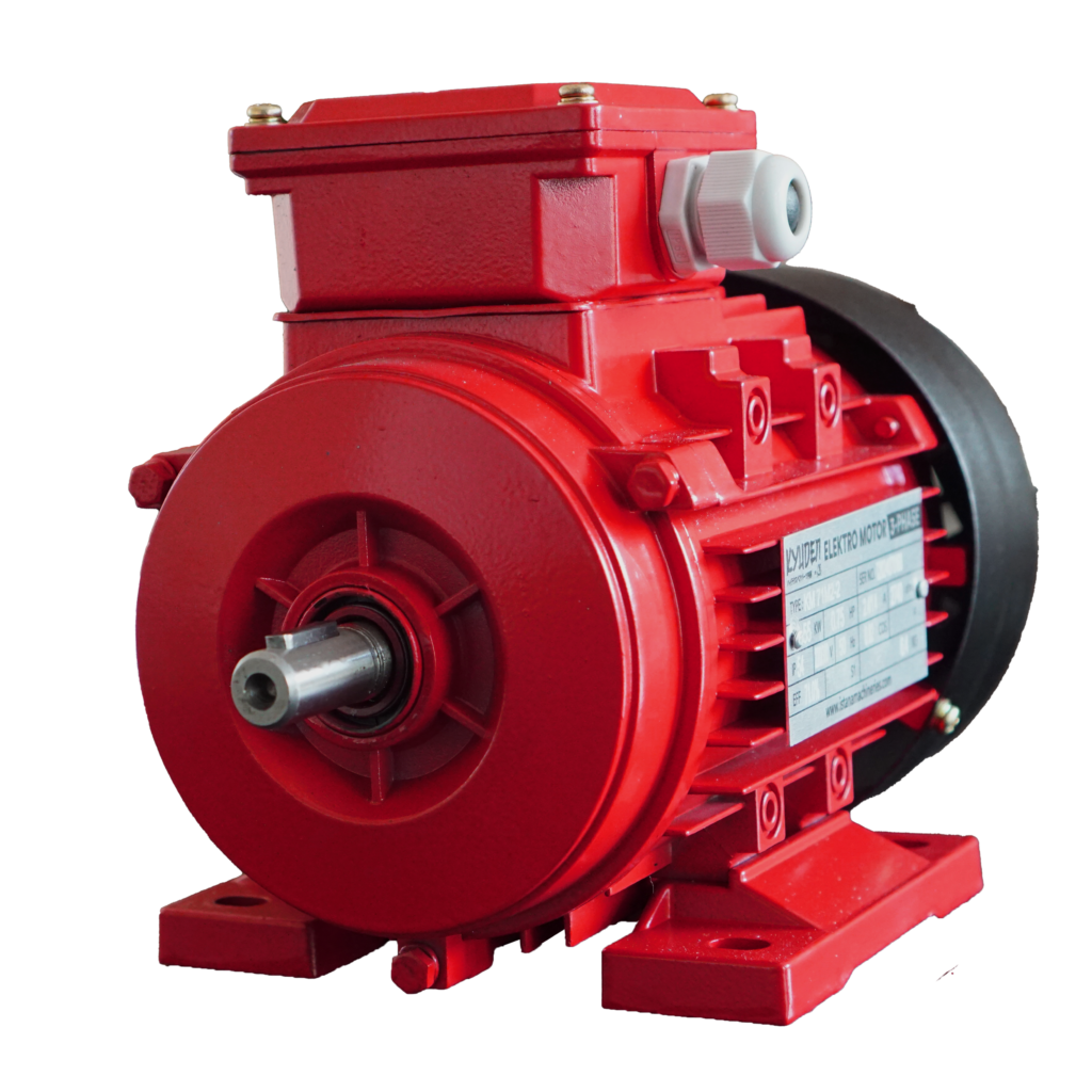 ELECTRO MOTOR KYUDEN - KM 71M2-2 - Istana Machineries