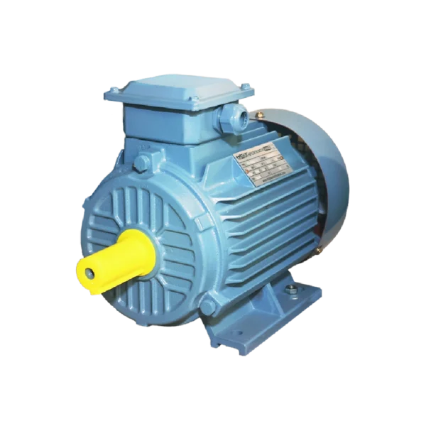 ELECTRO MOTOR TAEGON - T2-100L1-4 - Istana Machineries